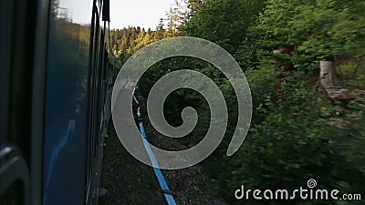 Leaning Out of Train Window, Looking at Turning Train, Forward Stock ...