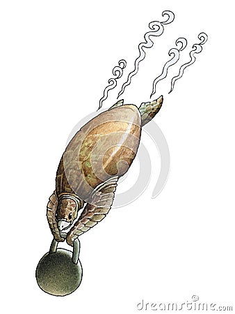 Leatherback Turtle Or Lute Turtle Stock Image | CartoonDealer.com #27633115