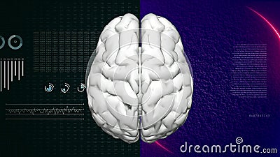 Left and Right Human Brain Partition Concept. Logic Hemisphere and ...