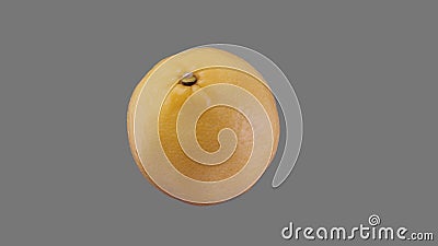 Lemon Spin and Float - Isolated, Alpha Channel Included. Stock Video ...