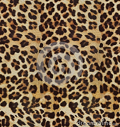 Leopard Skin Texture Seamless Pattern Stock Image | CartoonDealer.com ...