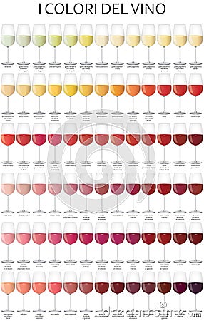 Les Couleurs Du Vin Illustration Stock - Image: 65083984