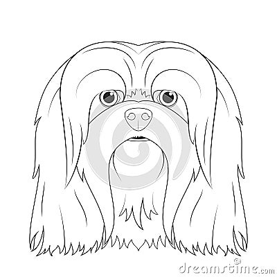 Lhasa Apso Dog Easy Coloring Cartoon Vector Illustration. Isolated On ...