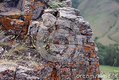 Lichen Stone Cliff Stock Photo - Image: 68320210