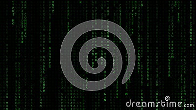 Light Green Digital Text Wording Background Matrix Falling from Top ...