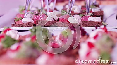 Light refreshments stock footage. Video of dish, leaves - 46198782