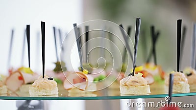 Light refreshments stock video. Video of lunch, finger - 50346223