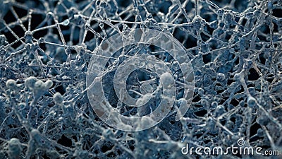 Light Solid Sponge-Like Network Of Nanostructures Royalty-Free Stock ...