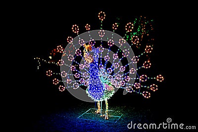 Lighted Peacock Display Royalty Free Stock Image - Image: 12421436
