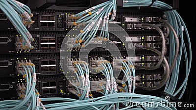 Lights and Connections on Network Server. Working Ethernet Switch in ...