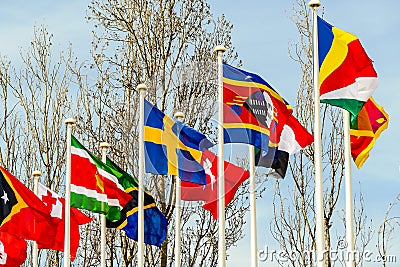 Line Of Multiple National Flags On Poles On The Background Of Leafless ...