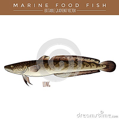 Ling. Marine Food Fish Cartoon Vector | CartoonDealer.com #78239037