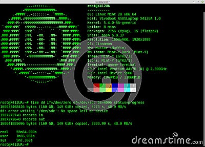 Linux Mint Screen Display It Details And Configuration After Logon To ...
