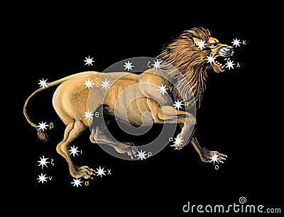 Lion Royalty Free Stock Photography - Image: 10813677