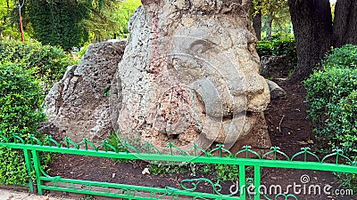 The Lion Statue in Ifran, Morocco Stock Footage - Video of natural ...