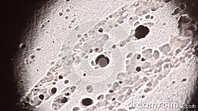 Liquid Moving Under The Microscope Stock Footage - Video of abstract ...