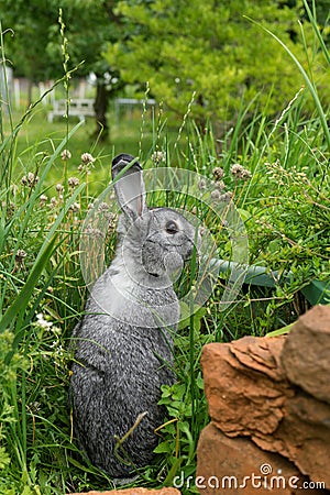 Little gray rabbit stock image. Image of meadow, clover - 93855391