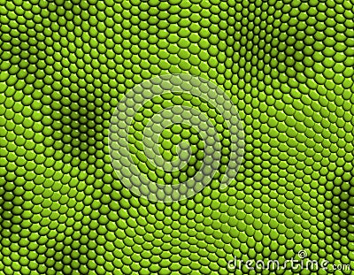 Lizard Skin Stock Photo - Image: 19579100