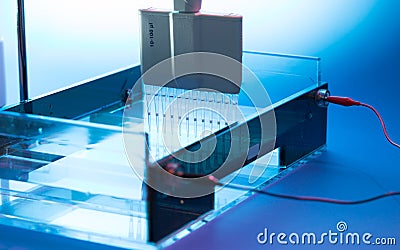 Loading DNA Samples Onto An Agarose Gel Electrophoresis Stock Photo ...