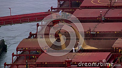 Loading Grain into Cargo Ship-001 Stock Video - Video of agronomy ...