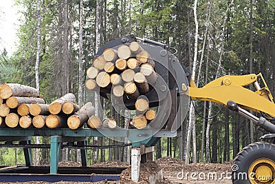 Loading Logs With A Special Loader.Timber Products Warehouse On A ...