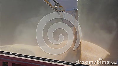 Loading Wheat into a Tanker, a Ship with Wheat. Loading Grain into a ...