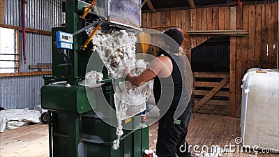 Loading wool bale press stock footage. Video of shot - 40843428