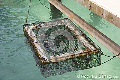 Lobster Cage Stock Photo - Image: 28090280