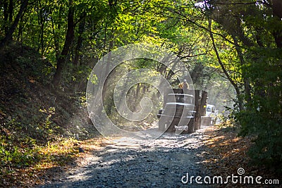 Logging Truck Going Down A Dusty Dirt Path Through A Forest Stock ...