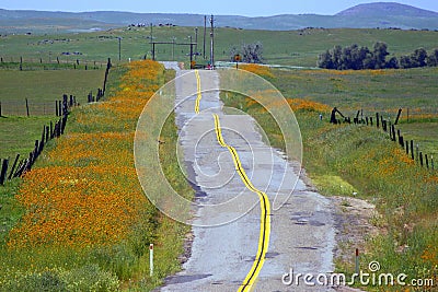 A Long And Bumpy Road Stock Images - Image: 14473704