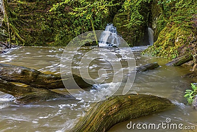 A Long Exposure View Of Submerged Tree Trunks In Front Of The Waterfall ...
