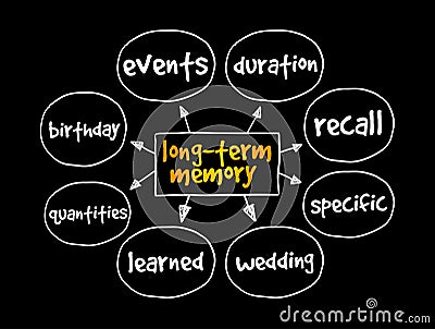 Long-term Memory Mind Map, Concept For Presentations And Reports ...