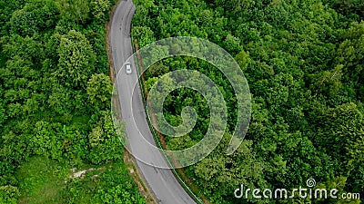 Looking Down On Road In Forest Of Breathtaking Stock Video - Video of ...