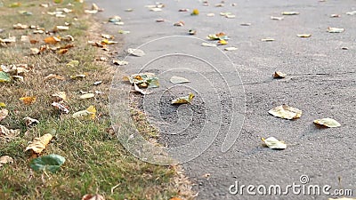 Low angle shot of sidewalk stock footage. Video of people - 52905108