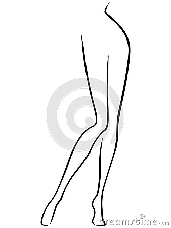 Lower Part Of Slim Female Body Stock Vector - Image: 51301493