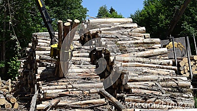 Lumber process mill works stock footage. Video of cargo - 37153062
