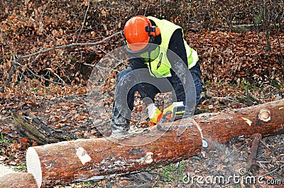 Lumberjack Doing His Work Royalty Free Stock Photo - Image: 35363475