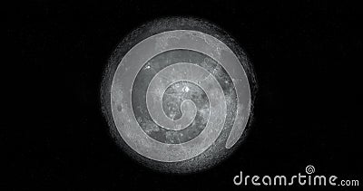 Lunar Phases in the Moon with Movement of Libration Stock Footage ...