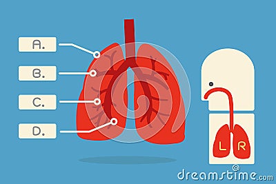 Lung Infographic Vector Illustration | CartoonDealer.com #32329844