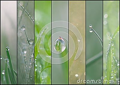 Lush Green Grass Collage Stock Photo - Image: 49815523