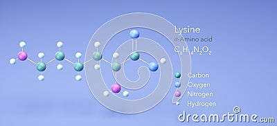 Lysine, Molecular Structures, Amino Acid, 3d Model, Structural Chemical ...