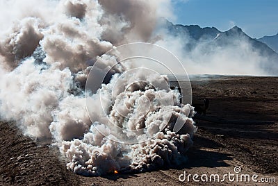 M8 HC Smoke Grenade Stock Photo | CartoonDealer.com #18905118
