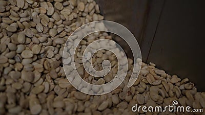 Sorting and Grading Coffee Bean Stock Video - Video of aroma, corn ...