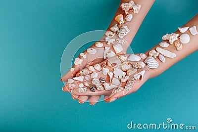 Macro Of Hand Holding Different Kinds Of Seashells, Corals In Front Of ...