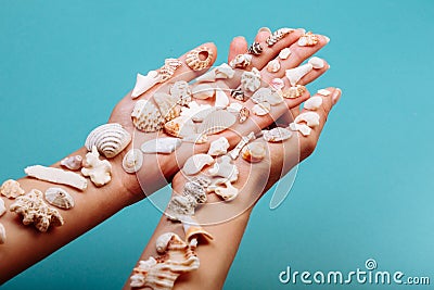 Macro Of Hand Holding Different Kinds Of Seashells, Corals In Front Of ...