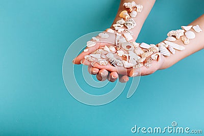 Macro Of Hand Holding Different Kinds Of Seashells, Corals In Front Of ...