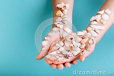 Macro Of Hand Holding Different Kinds Of Seashells, Corals In Front Of ...