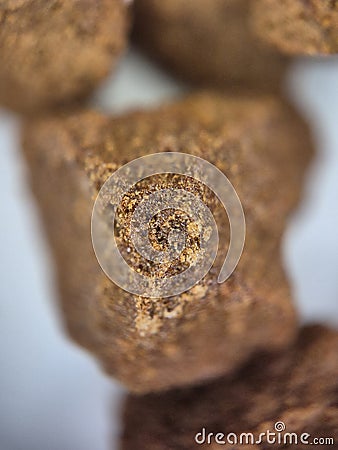 Macro Of An Instant Coffee Bean Under A Microscope Royalty-Free Stock ...