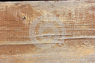 Macro Weathered Wood Grain Plank Texture Stock Photo | CartoonDealer ...