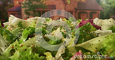 Maggots Swarming in a Plate of Salad Stock Footage - Video of closeup ...